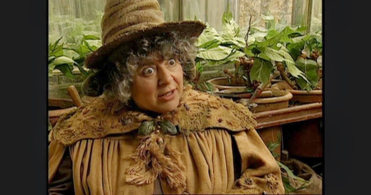 Harry Potter. Las cuatro casas de Hogwarts. Hufflepuff.