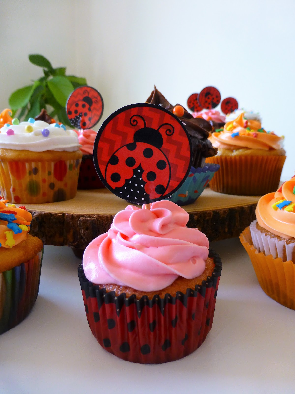 CakeSophia: Colorful muffins