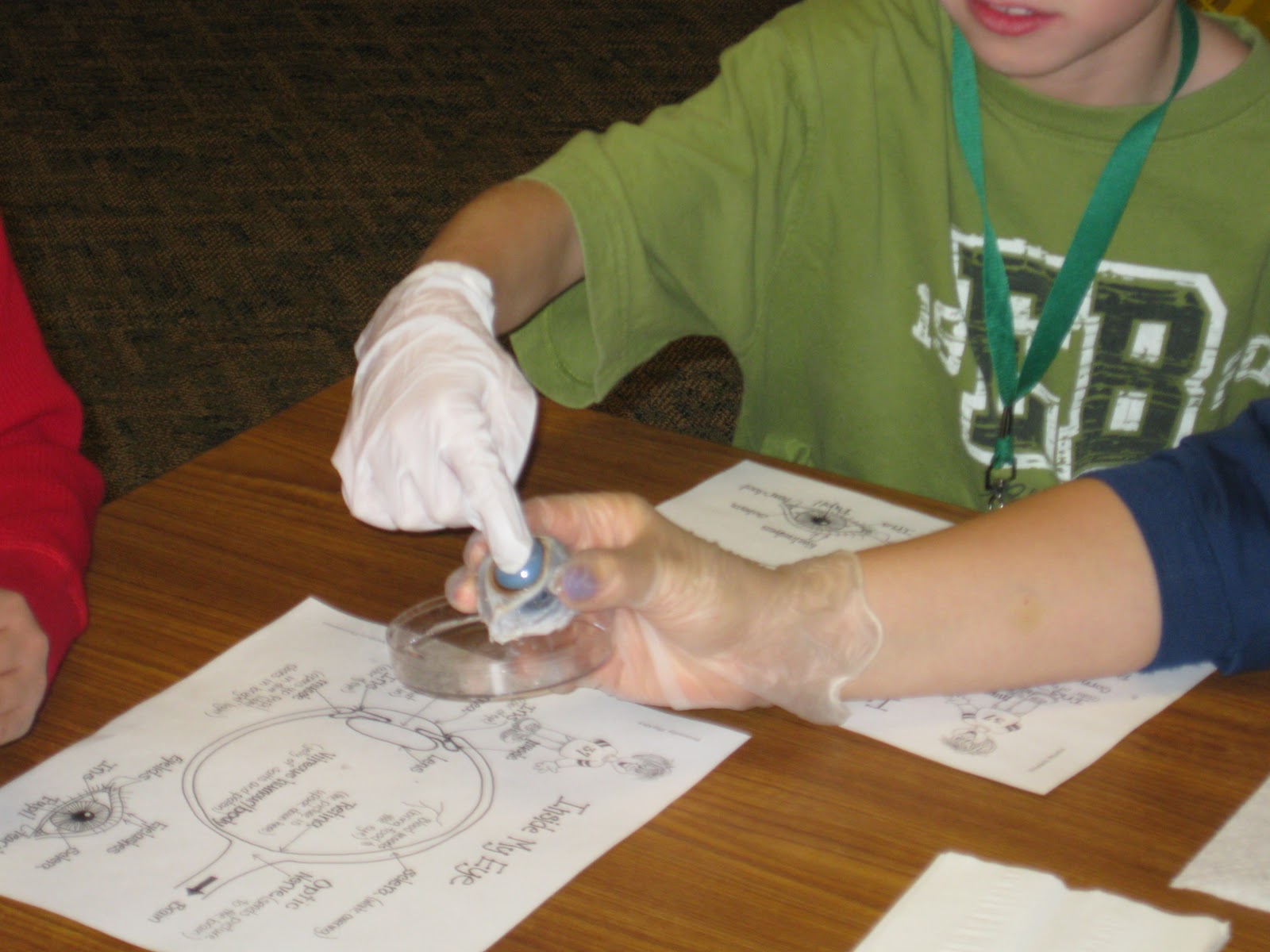 Mrs. Campbell's Blog: Eye Dissection!!!!!!!!!!!!!!!!!!!!!!!!!!!!!!!!!!!