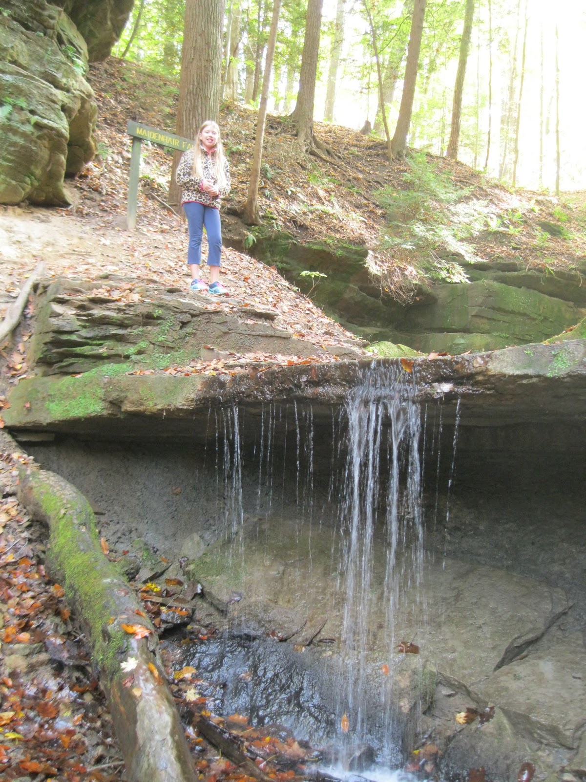 Things That Keep Dan Busy: Hiking and Camping at Shades State Park