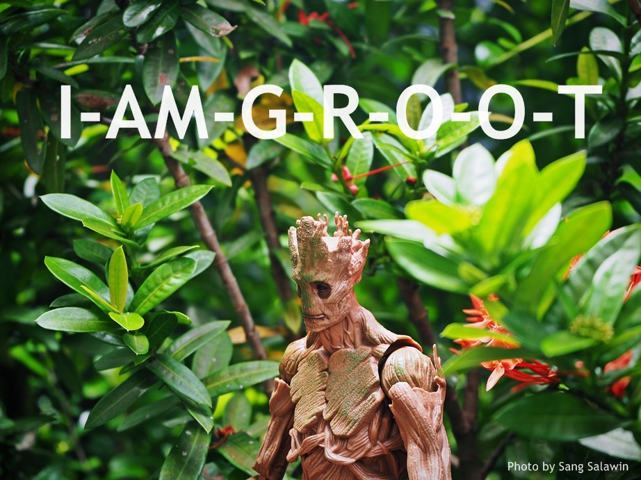 [Review] Marvel Legends 2014 : Groot (Guardians of the Galaxy : Groot BAF)