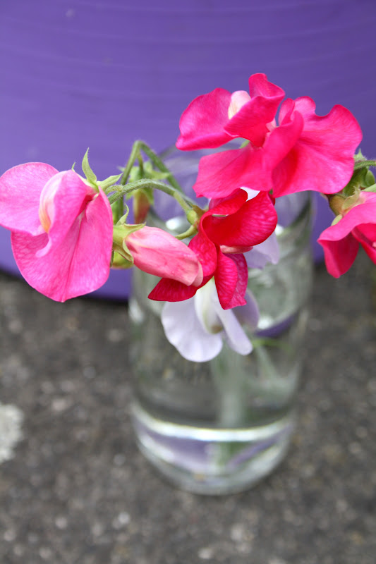 Madelief: Late June garden