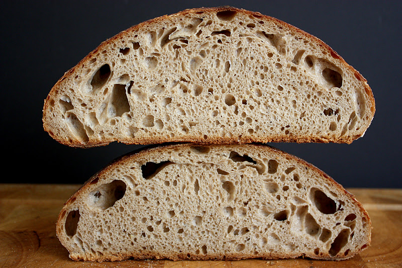 Tartine Bread Experiment: Bench Exam