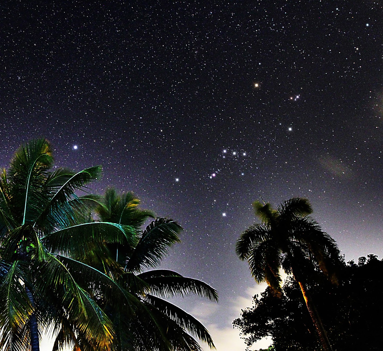 Astrophotography Blog: Orion (constellation) Astrophotography