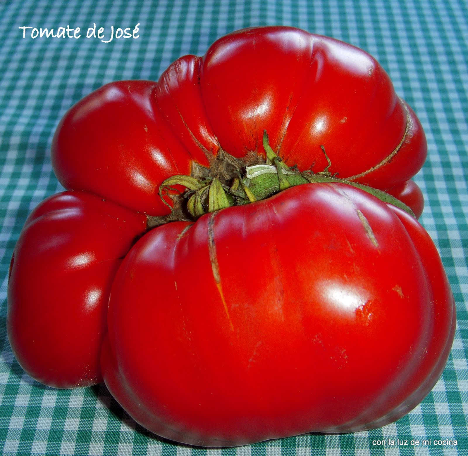 con la luz de mi cocina: SALSA DE TOMATE EN CONSERVA