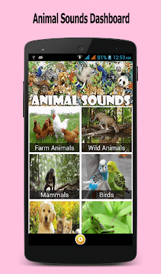 Animal Sounds for Kids: June 2016