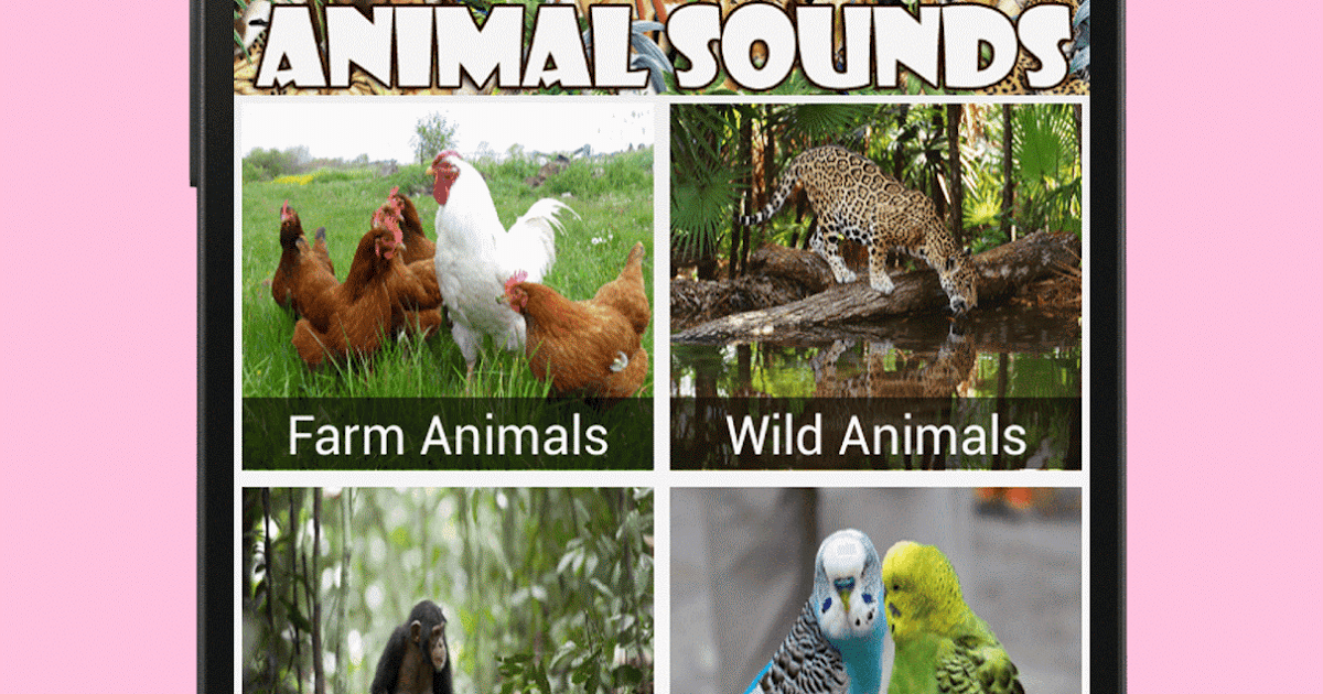 Animal Sounds for Kids: 100 Animal Sounds