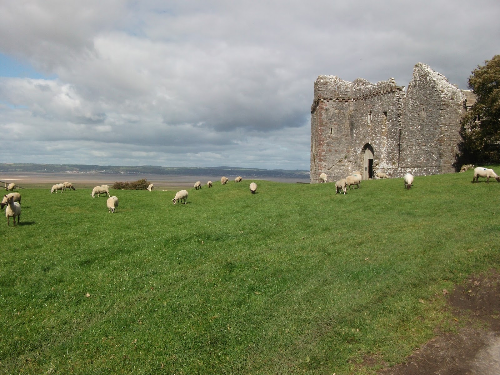 The Castle Hunter: Weobley Castle