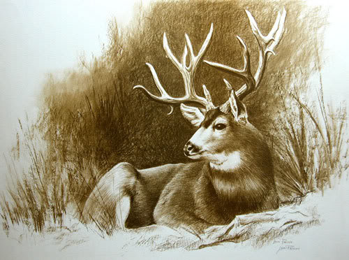 Kent Rod & Gun Club, Kent Cliffs, New York: August 2013