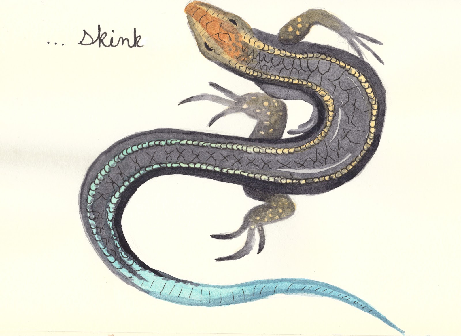 Consider my dear...: Daily Creature Features Part Two