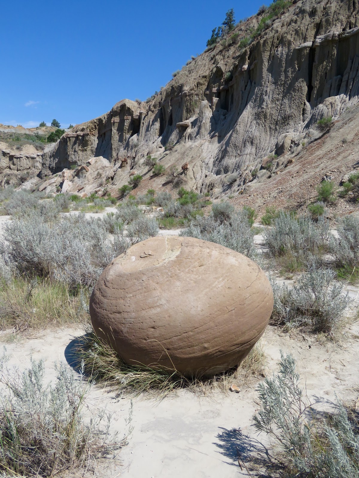 Winds of Destiny - RVLife: Theodore Roosevelt National Park-North Unit ...