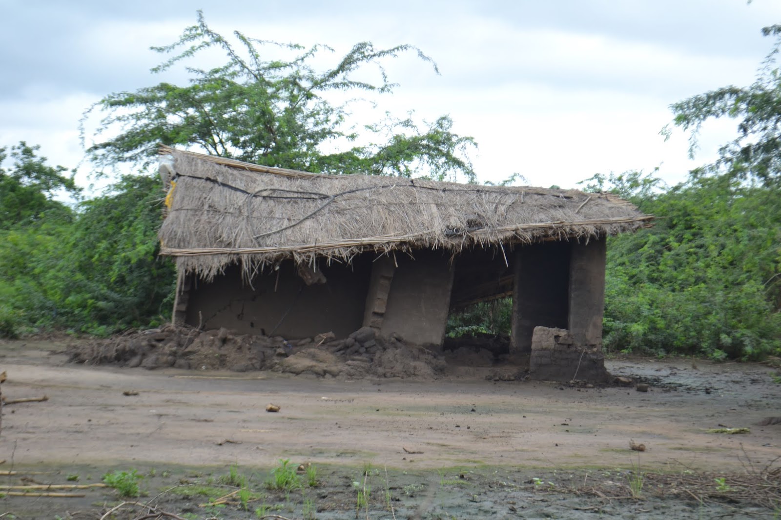 Zachimalawi: Shire Valley: Malawi’s man-made or artificial humanitarian ...