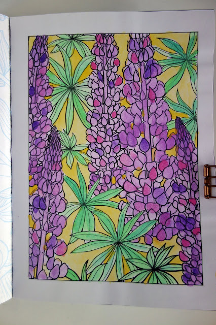 blah to TADA!: My Coloring Book