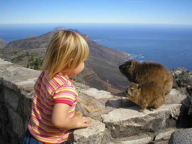 mainly mongoose: The past, the poop and palynology