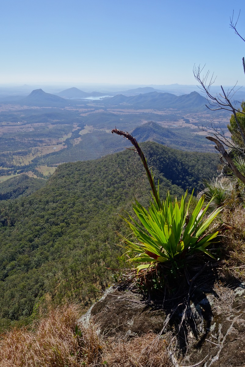 Conqueror of the Mountains of Australia in General and South East ...
