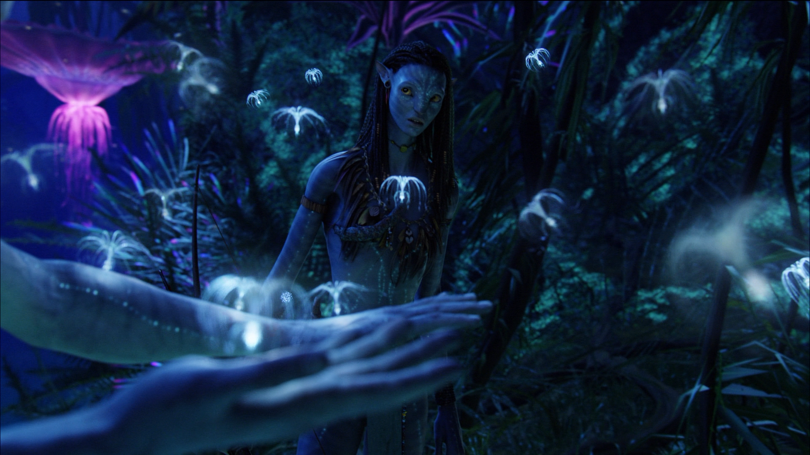 Where Is Wallpaper: 21 hd