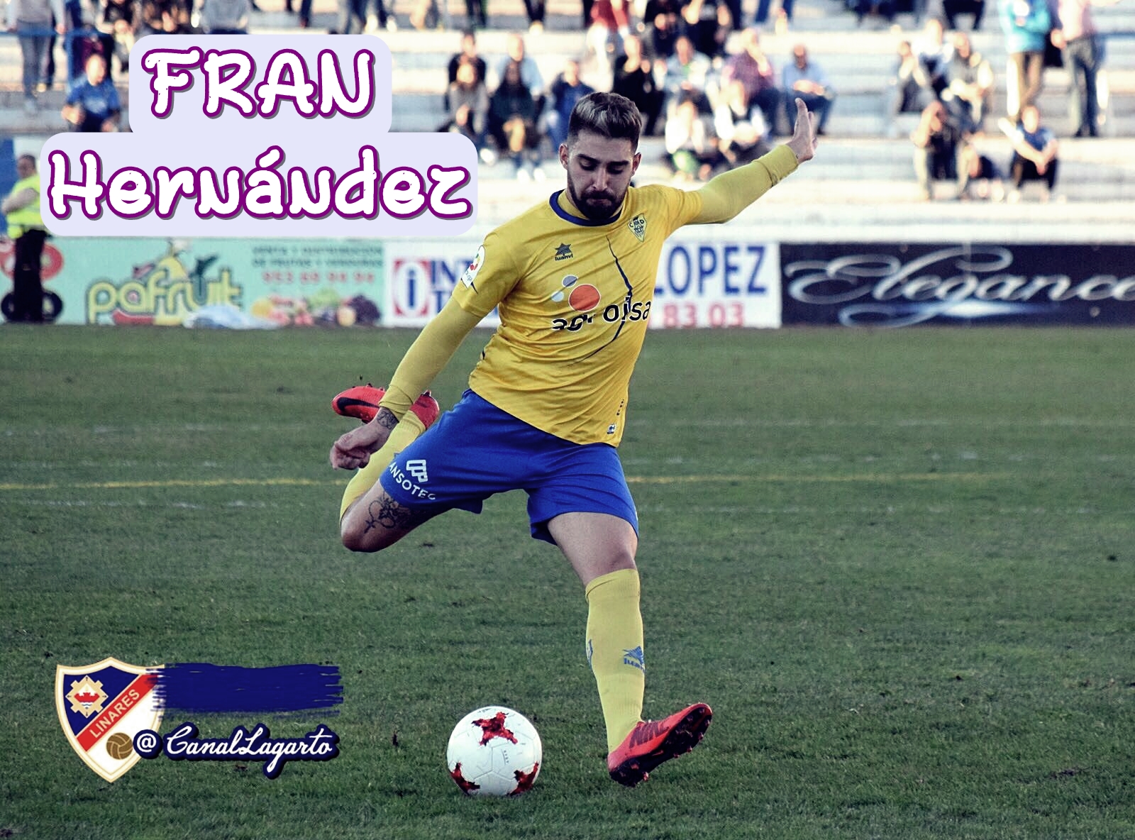 Datos de Fran Hernández - Canal Lagarto