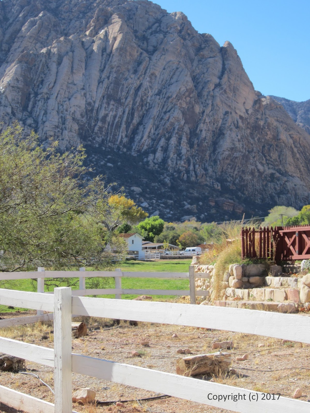 Traveling Texas & Nevada: Hiking Spring Mountain Ranch-Las Vegas NV