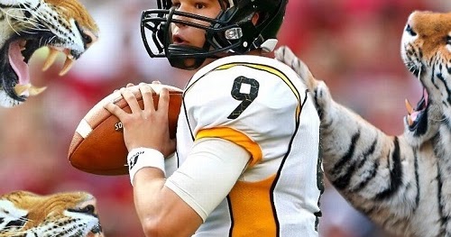 Diogenes' Middle Finger: Eagles vs.Tigers