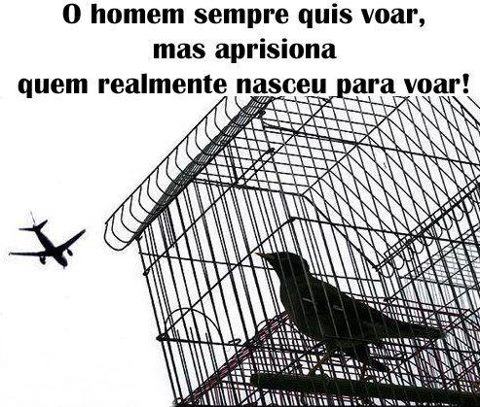 CHEbola: Charge foto e frase do dia