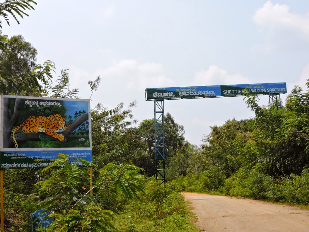 Manoj Saldana: Shettyhalli Wildlife Sanctuary/Forest, Shimoga