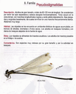 agroactivo - El mas moderno sitio de consulta técnica y comercial para ...