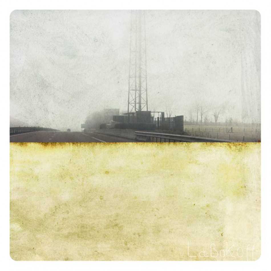 Cromofora La ( Paloma) Contemporary Online Art Gallery: FABIENNE RIVORY