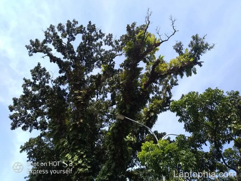 Review Infinix Hot S3 X573: Smartphone Selfie Killer dengan OS Android ...