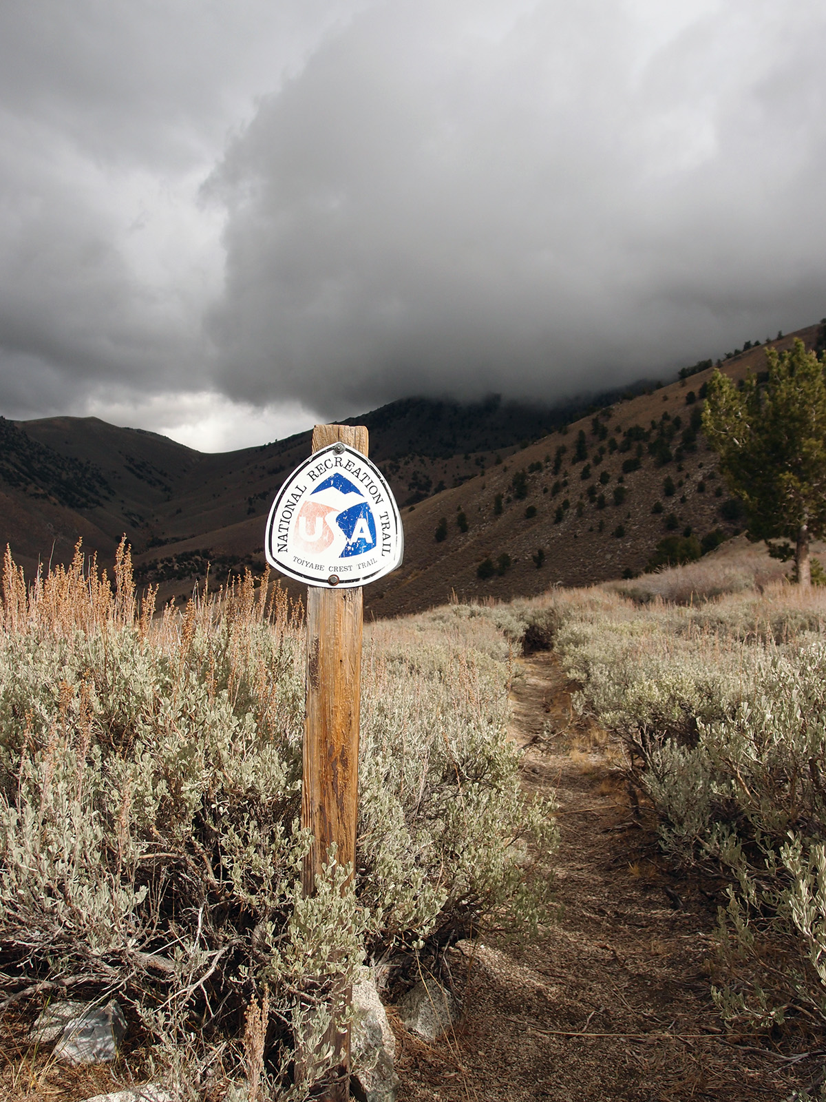 Seeking Ultra: Toiyabe Crest Trail, Nevada