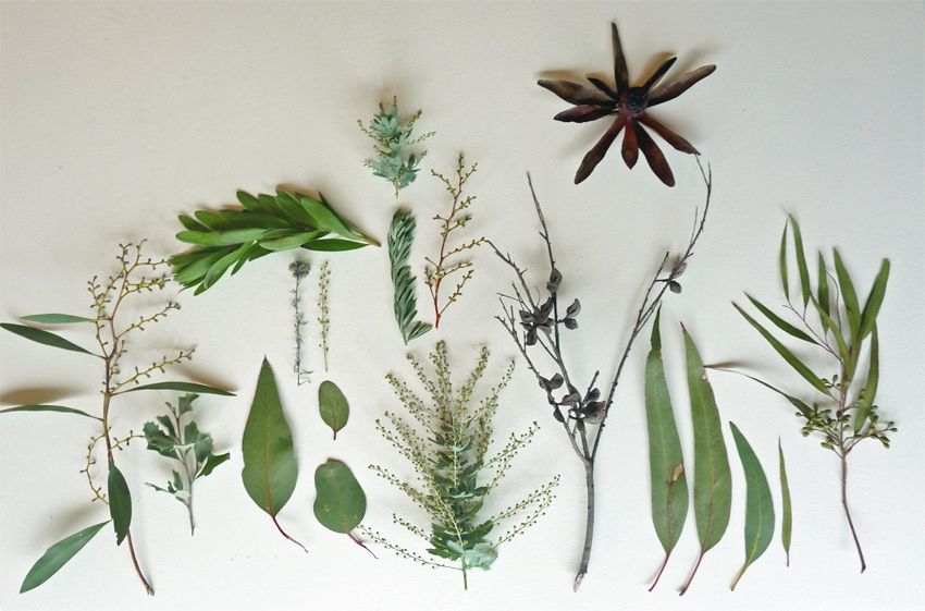 the magic of a single leaf