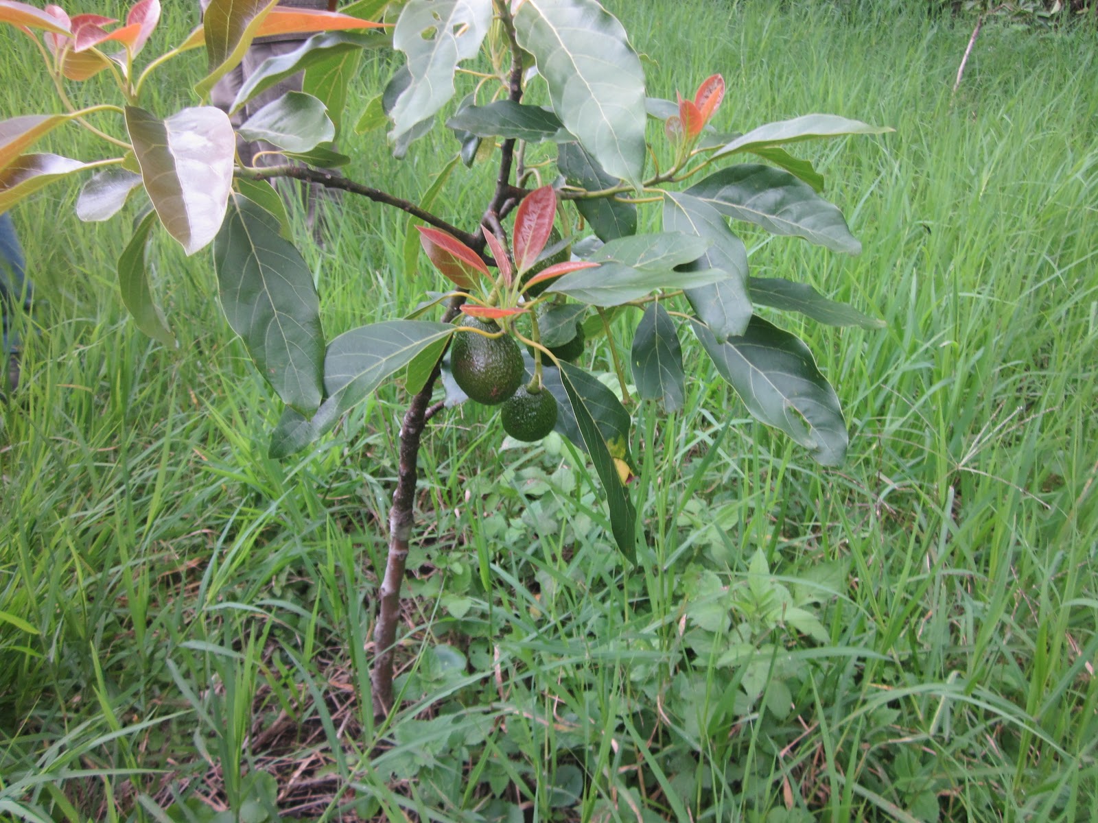 Aventuras en Costa Rica