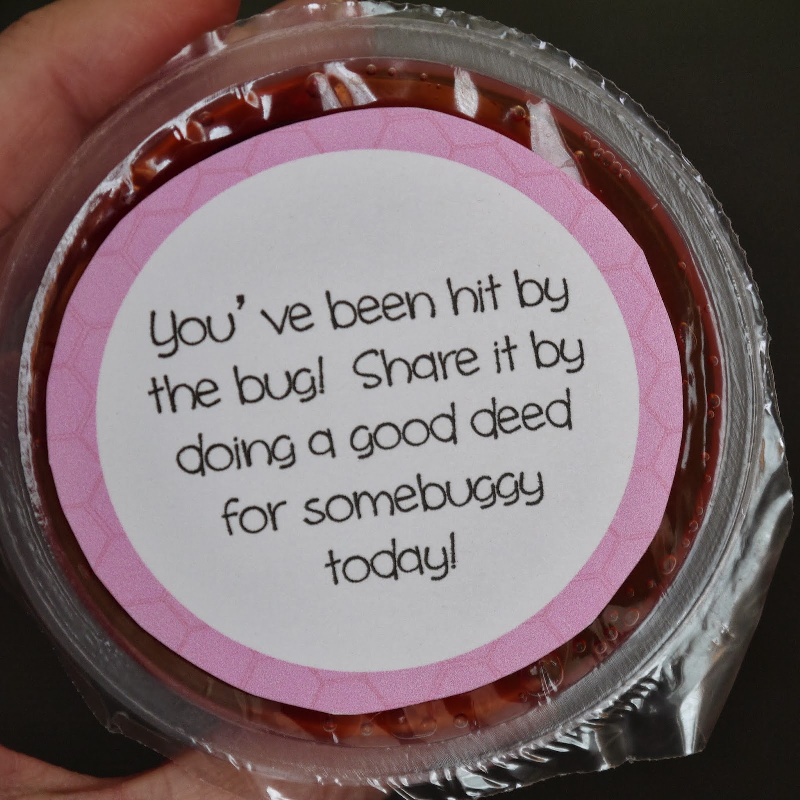 Real Teachers Learn: Valentines for EveryBUGgy!