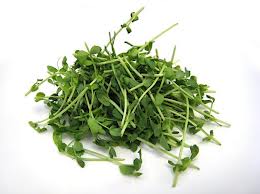 rainbowdiary: October 2012