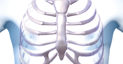 Precordial Thrill Definition, Symptoms, Causes, Palpation, Treatment ...