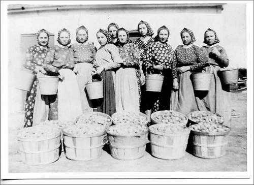 THE FARMER'S STAND: Hutterite Farms