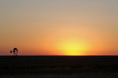 Coral Wild - A Safari Guides Diary: Sunrise to Sunset, a day in the ...