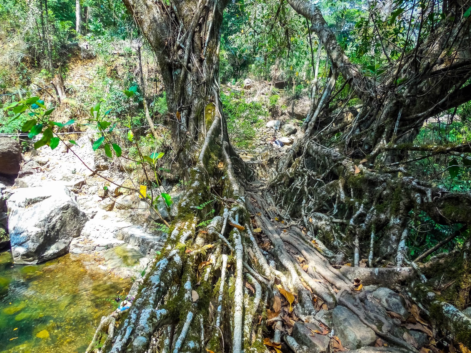 Couple of Rolling Stones: Meghalaya- The Abode of Clouds, India