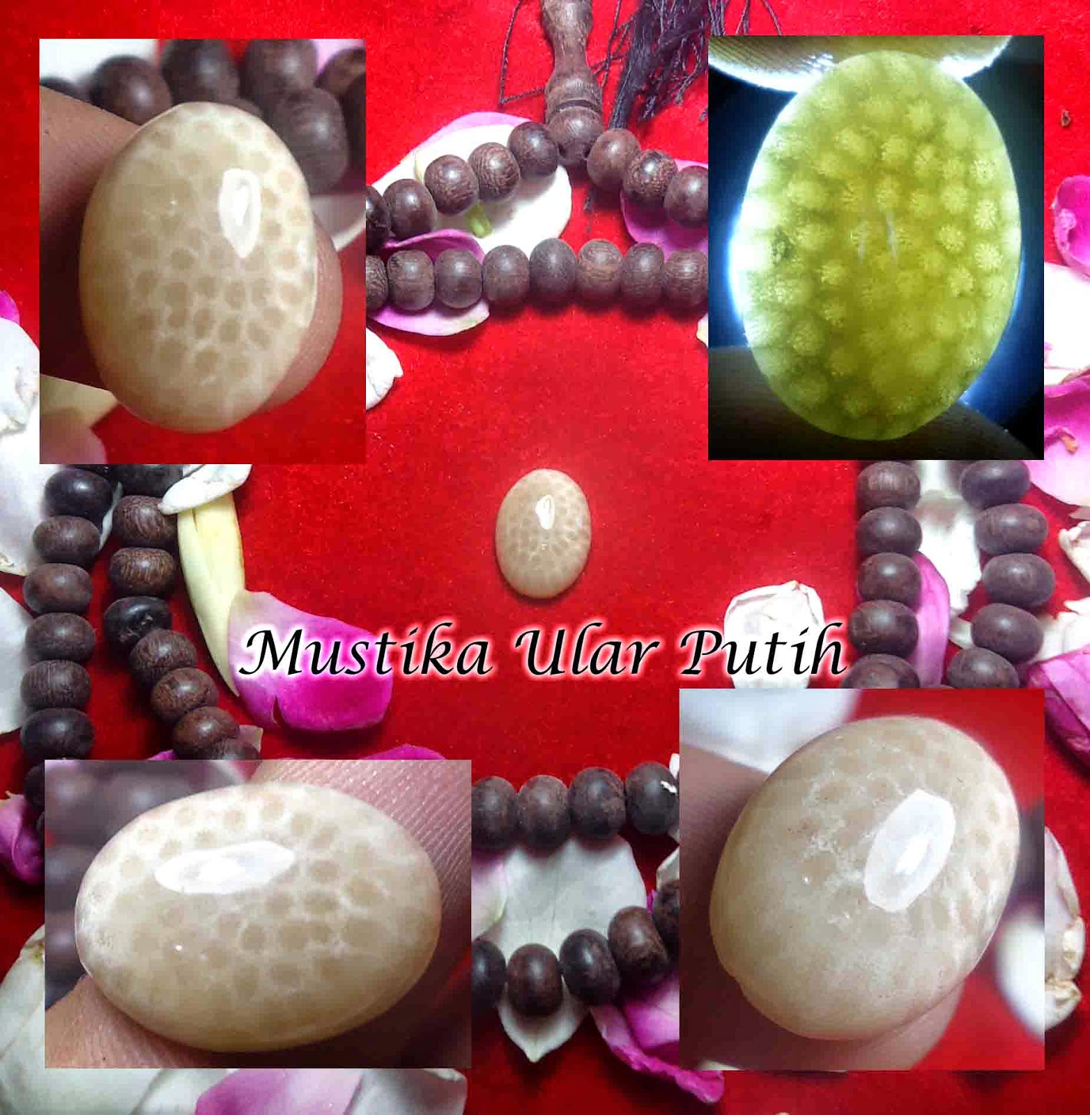 BATU MUSTIKA NAGA SAKTI ASLI: Batu Mustika Ular Putih Asli