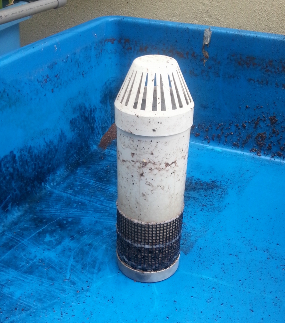 Affnan's Aquaponics: Hydroton Growbed Redo