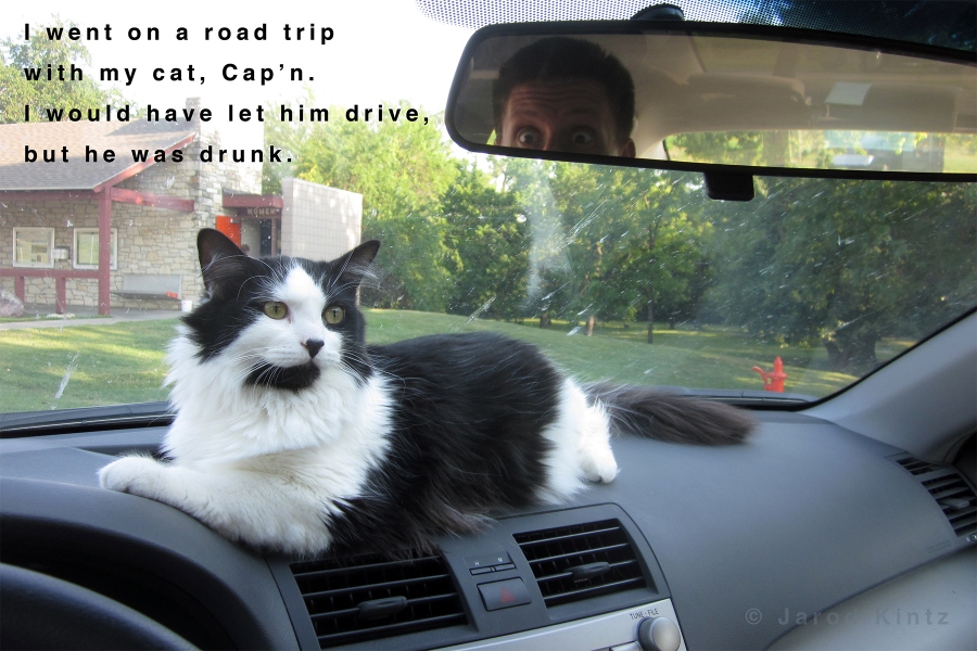 Nirupama shyam: Jarod Kintz - One of my favorite people ever.