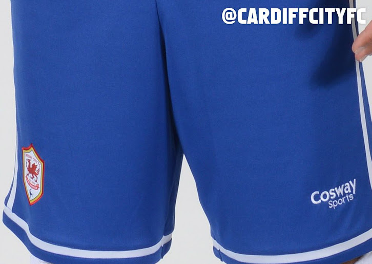 Cosway Sports Cardiff City 14-15 Kits Released - Footy Headlines