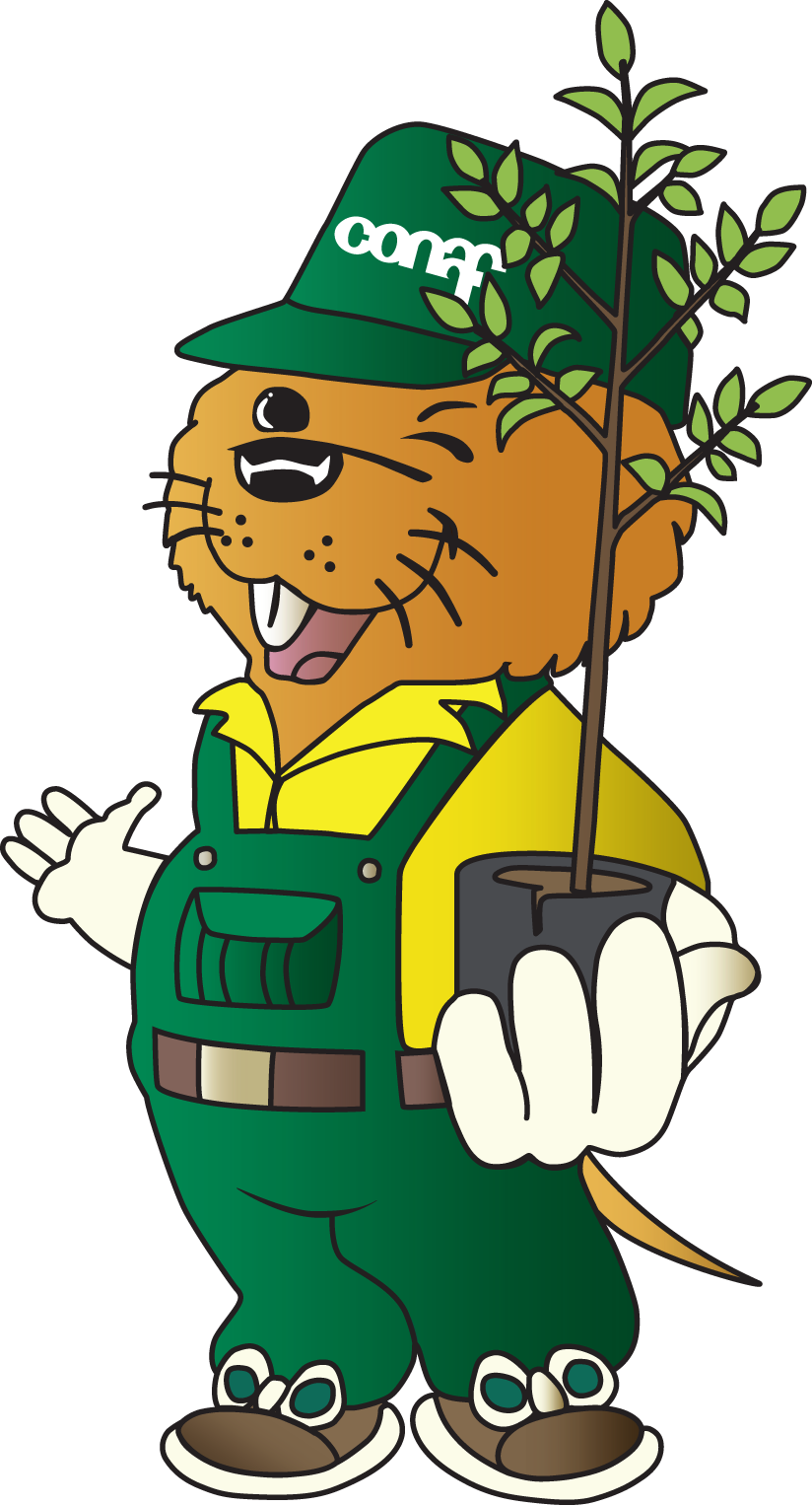 Conaf ~ Turismo Accecible