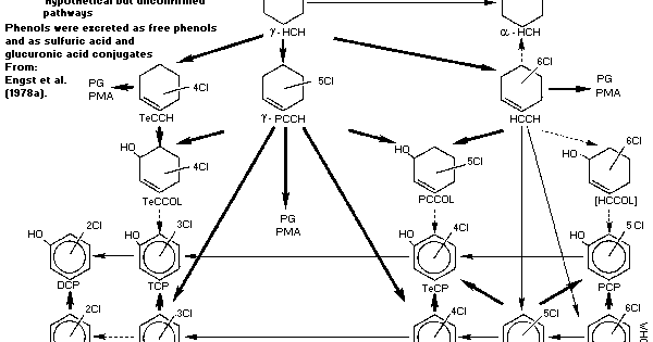 Journals and Conferences on Chemical Engineering: Bioassay of Lindane ...