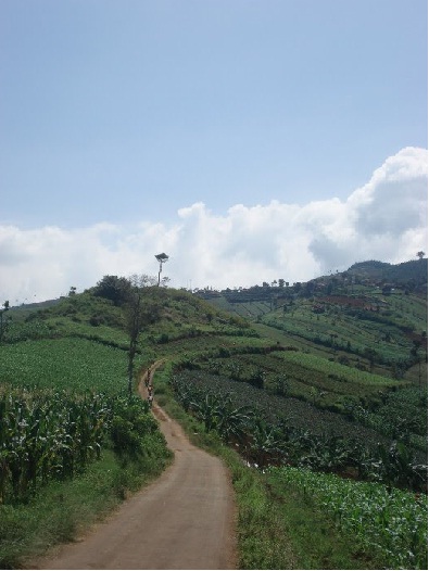 SISI KOTA BANDUNG: Cartil - Wisata Kuliner Alam di Caringin Tilu