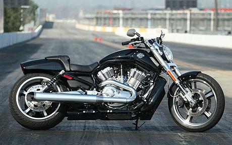 Harley davidson v rod muscle - HD Collection Zone