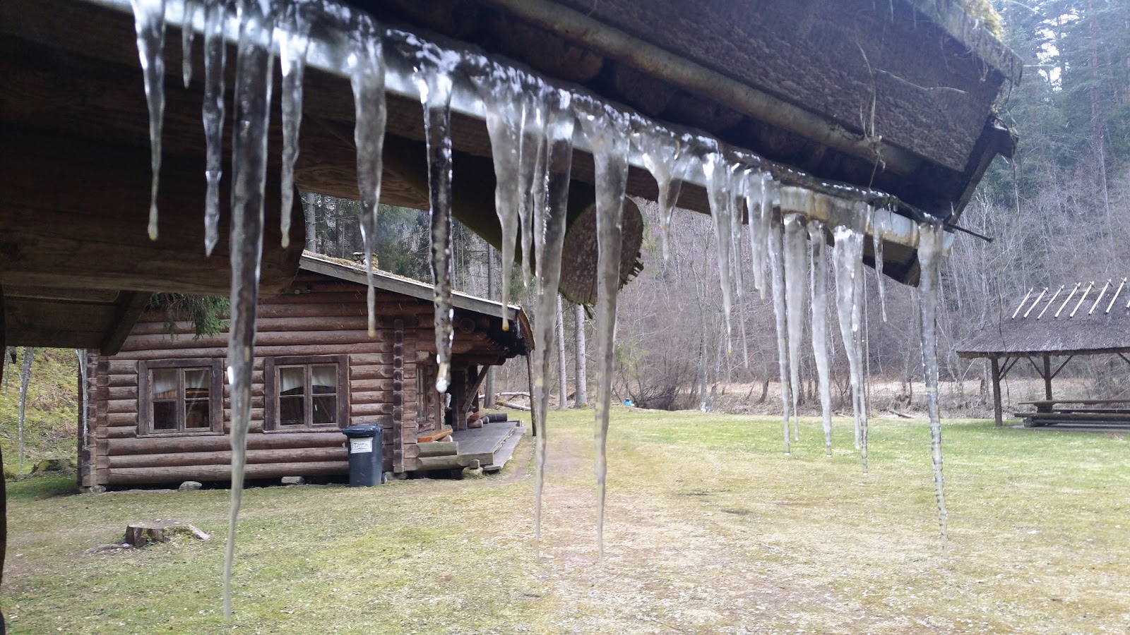 Etsi blogi: Füüsiliselt nõudlik Peko Kevad