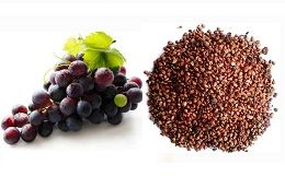 Cara Pemesanan Lecithin Softgel: Manfaat dan Khasiat Ekstrak Biji Buah ...