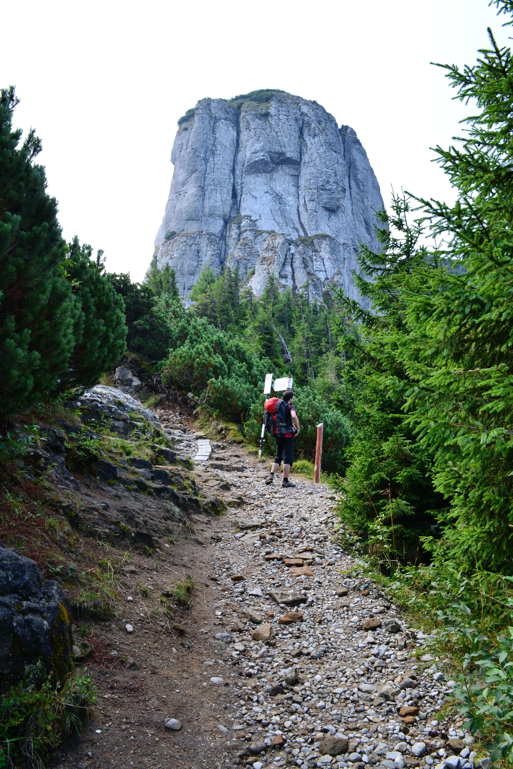 Zharah ~ Photos: ROMANIA: Ceahlău Mountains - Vârful Toaca (Toaca Peak ...
