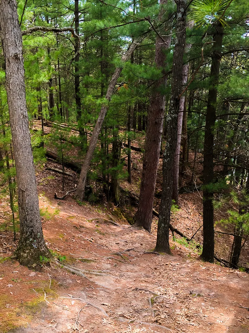 Hiking at the Dells of The Wisconsin SNA