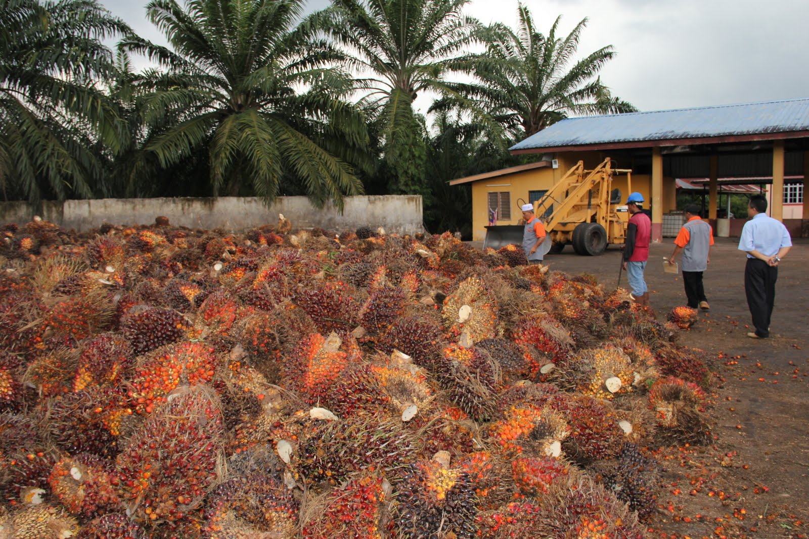 ::iNFO:LEDANG:: ~Sumber Berita Warga Ledang~: AHLI PERSATUAN DIINGAT ...